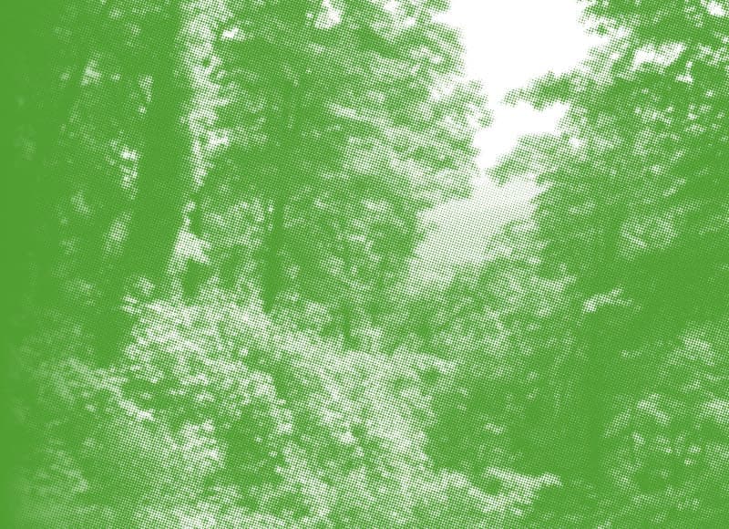 Services | Innovative Solutions To Complex Challenges | Dalkia UK